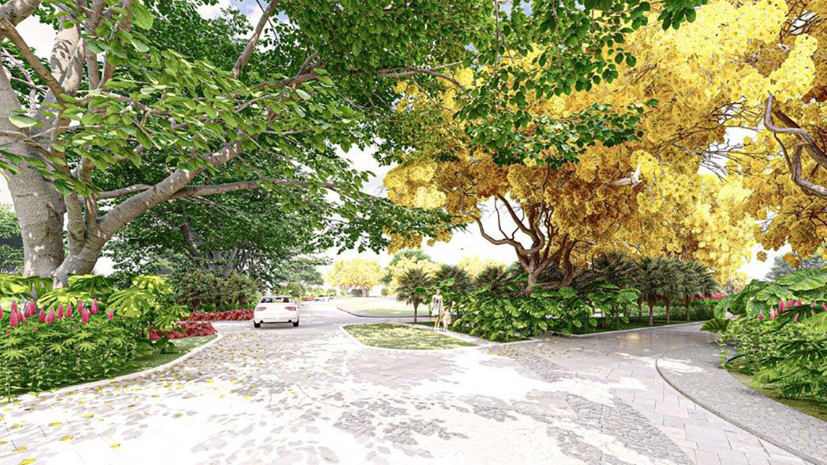 Proyecto - Bosques de la Cantera